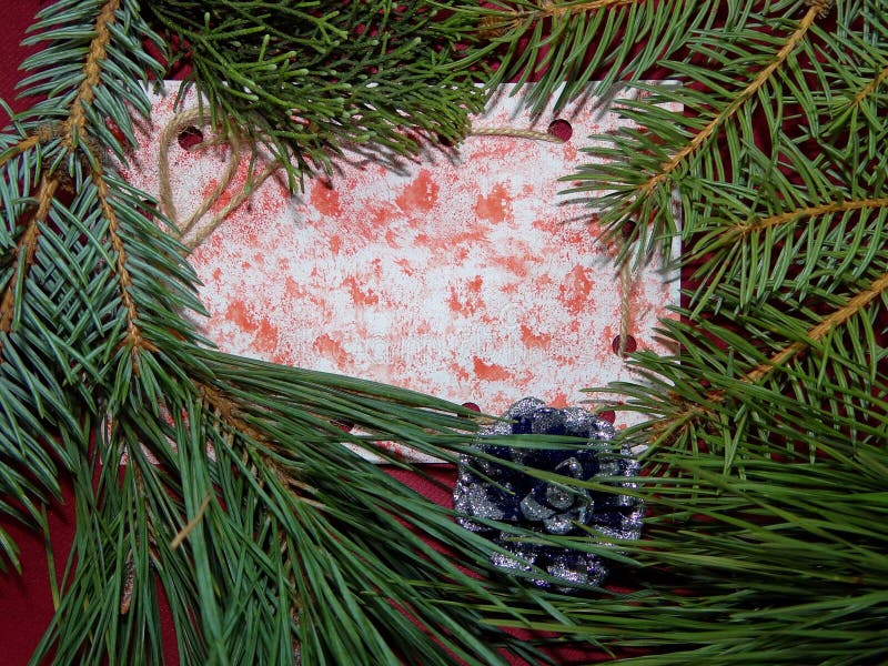 Label with Branches of Spruce Stock Photo - Image of pine, label: 78613014