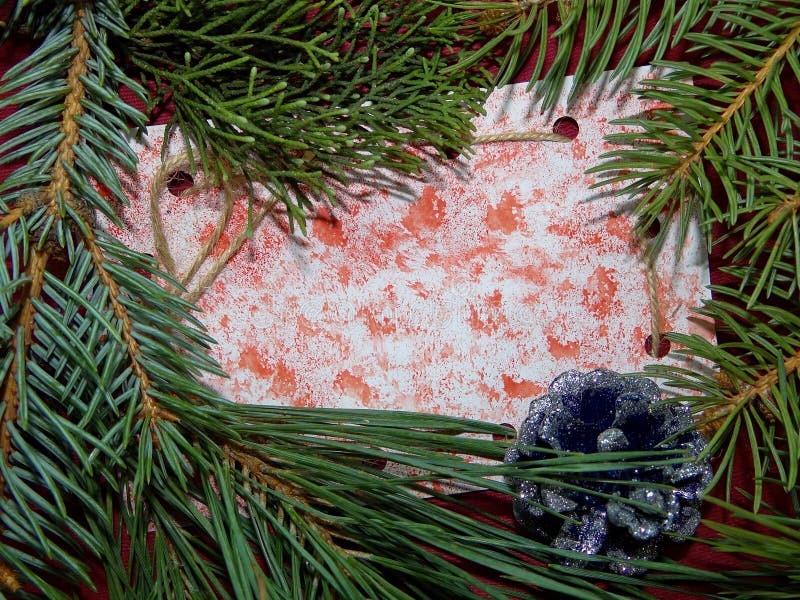 Label with Branches of Spruce Stock Photo - Image of pine, label: 78613014