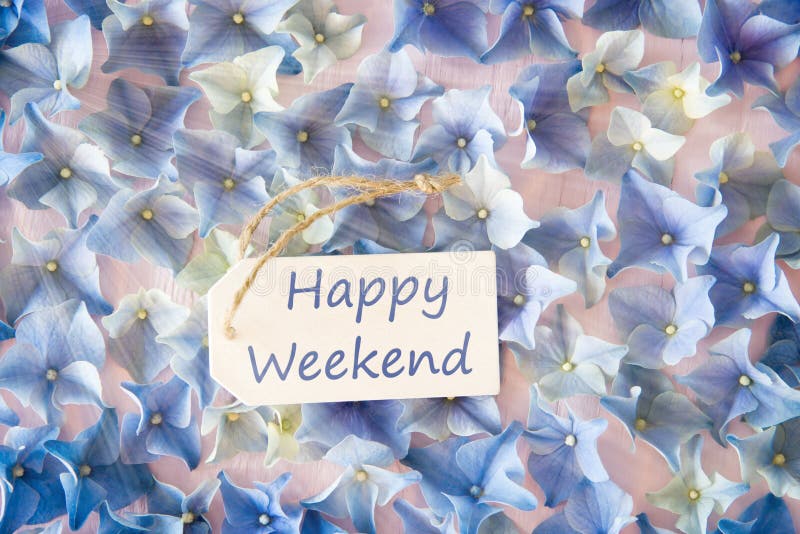 3,428 Happy Weekend Purple Stock Photos - Free & Royalty-Free Stock ...