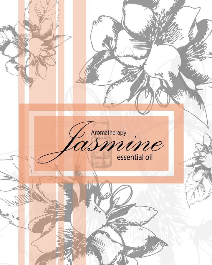 Label for Essential Oil of Jasmine Stock Vector - Illustration of ...