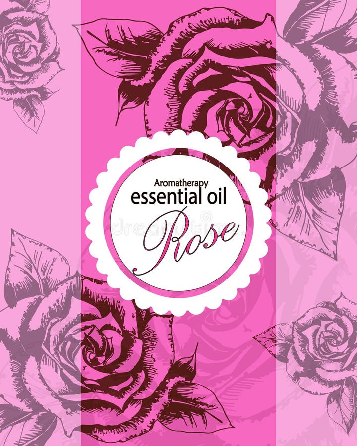 Label for Essential Oil of Rose Stock Vector - Illustration of banner ...