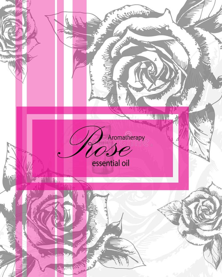 Label for Essential Oil of Rose Stock Vector - Illustration of hand ...