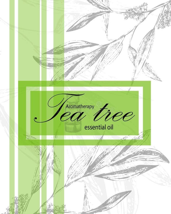 Tea Tree Essential Oil Label Stock Illustrations – 206 Tea Tree ...