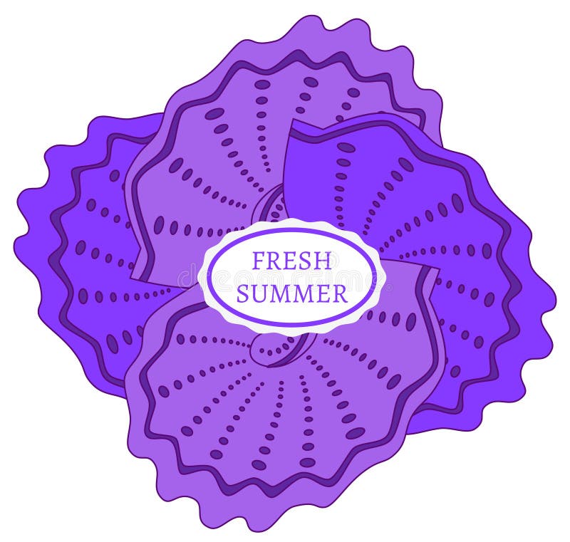 Shell Summer Adventures are Hidden Inside the Shell - Lo Stock ...