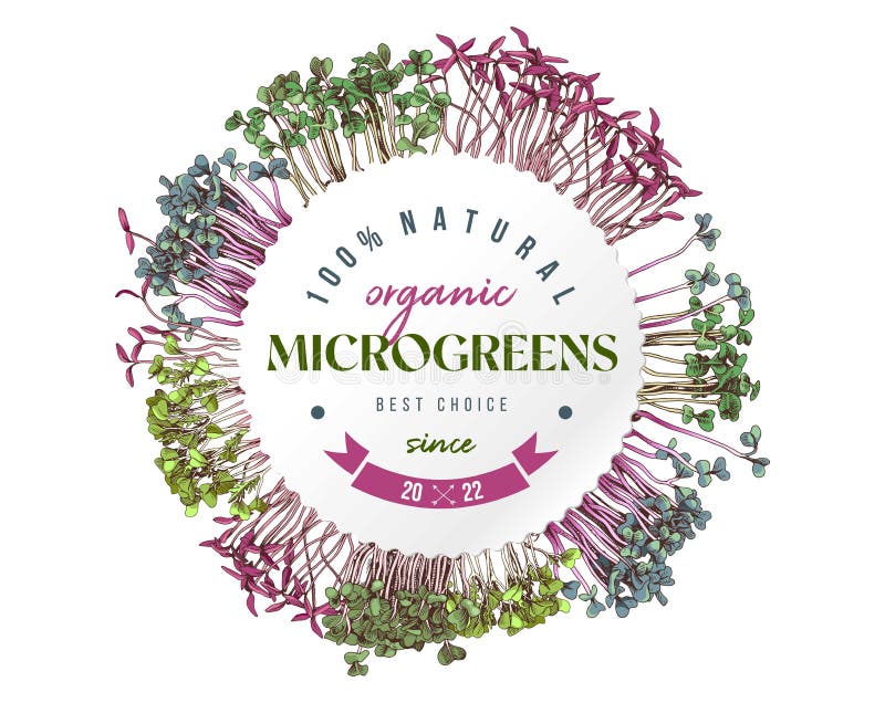 Microgreens Label Stock Illustrations – 194 Microgreens Label Stock ...