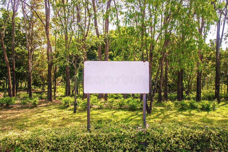 Label in front of forest stock image. Image of nature - 88811785