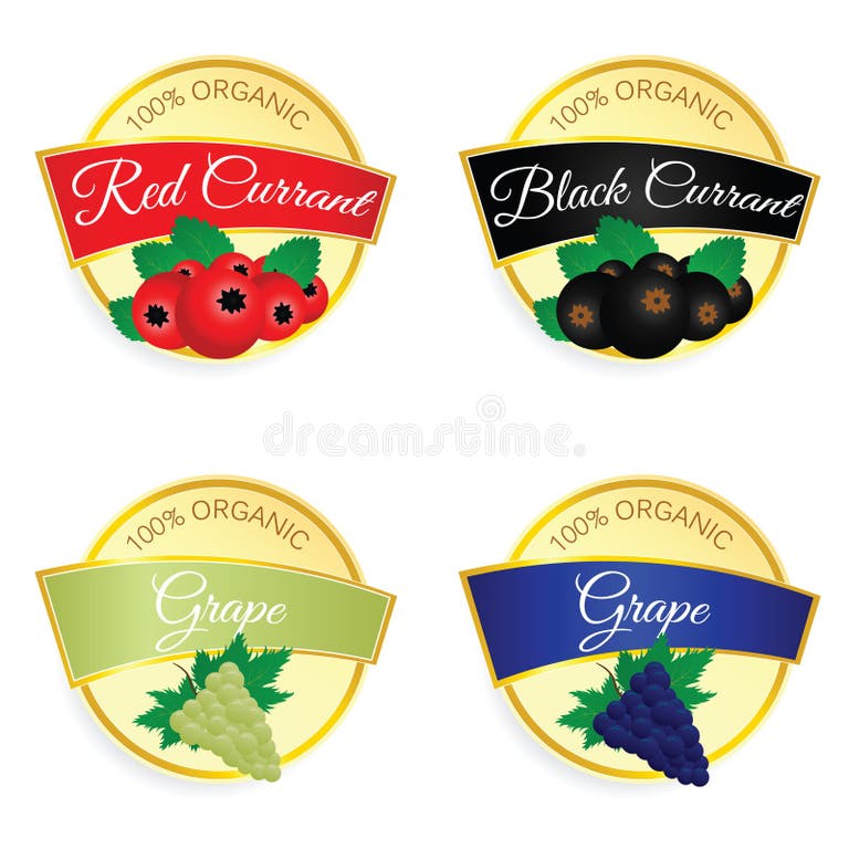 Label of Fruit Currant and Grape Illustration in Colorful Stock Vector ...
