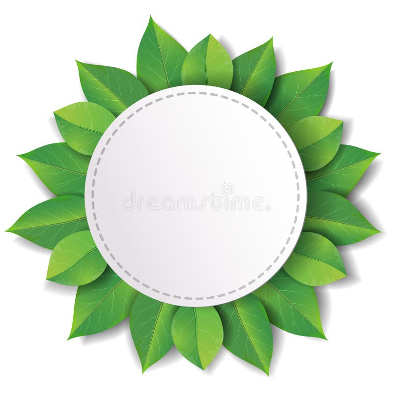 Label with green leaves stock vector. Illustration of design - 35601003