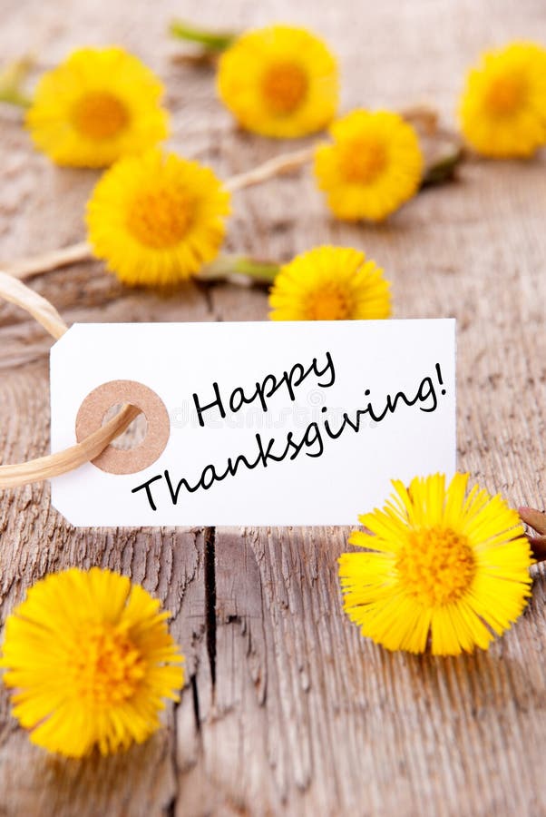 Happy Thanksgiving Notepad stock image. Image of freedom - 41326793
