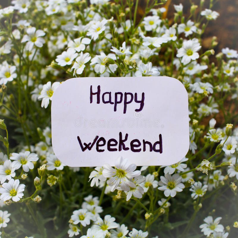 A label with Happy Weekend stock image. Image of greetings - 54435499