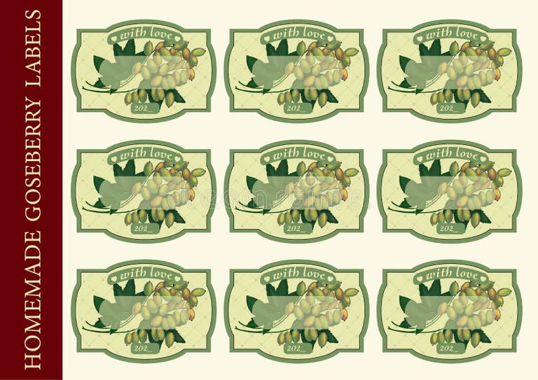 Label for Homemade Jam. Gooseberry Jam Packaging Stock Vector ...