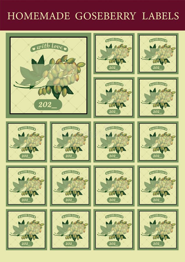 Label for Homemade Jam. Gooseberry Jam Packaging Stock Vector ...