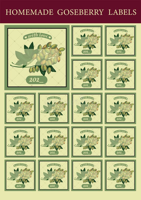 Label for Homemade Jam. Gooseberry Jam Packaging Stock Vector ...