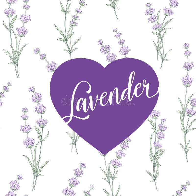 Label with lavender stock vector. Illustration of organic - 65311342