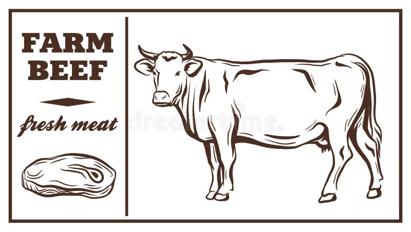 Label of Meat Products. Beef Stock Vector - Illustration of handmade ...