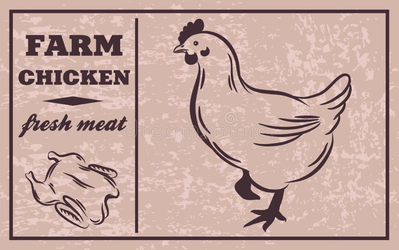 Label of Meat Products. Chicken Stock Vector - Illustration of meal ...