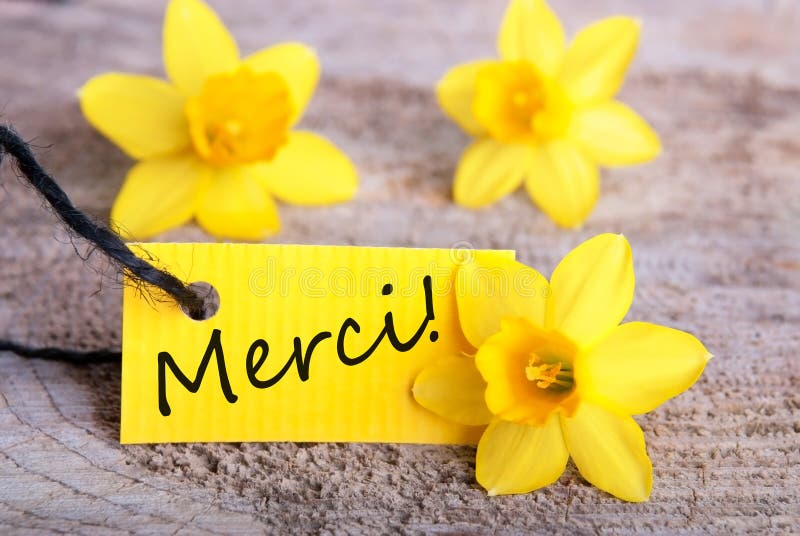 Merci Nature Stock Photos - Free & Royalty-Free Stock Photos from ...
