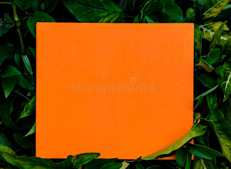 Label paper on green leaf stock image. Image of backdrop - 88743513