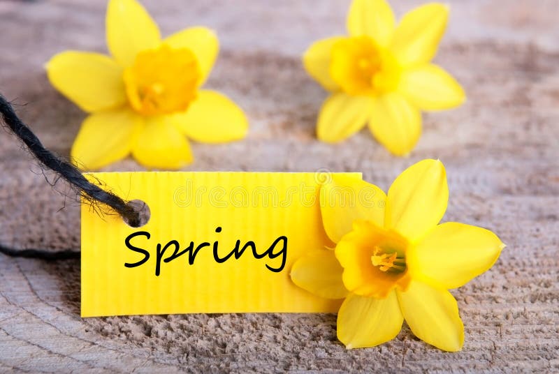 Label with Spring stock image. Image of card, flowers - 38948357