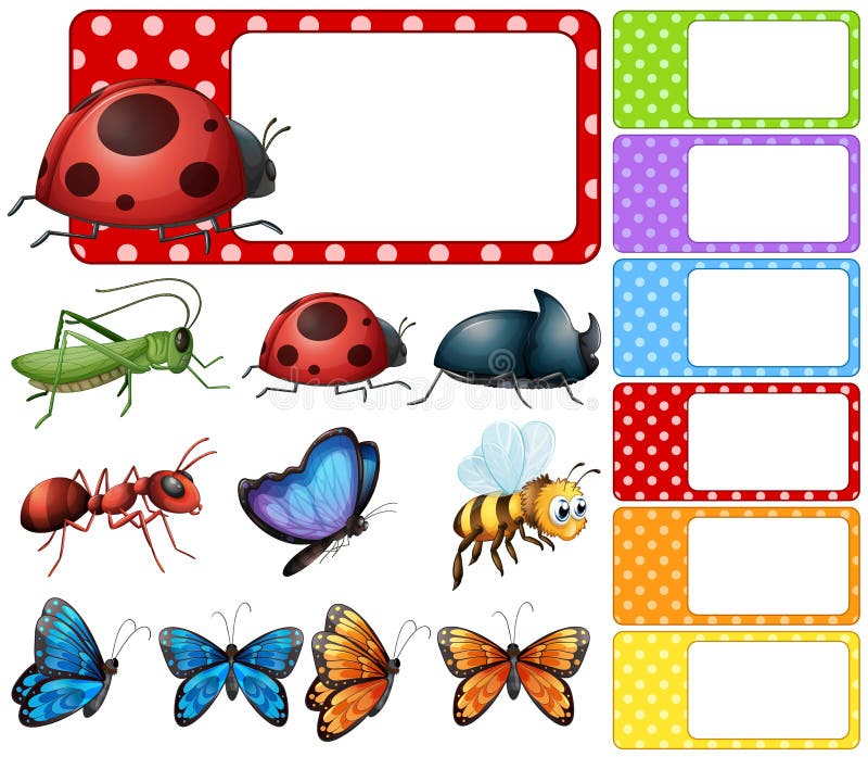 Label Template with Different Types of Insects Stock Vector ...