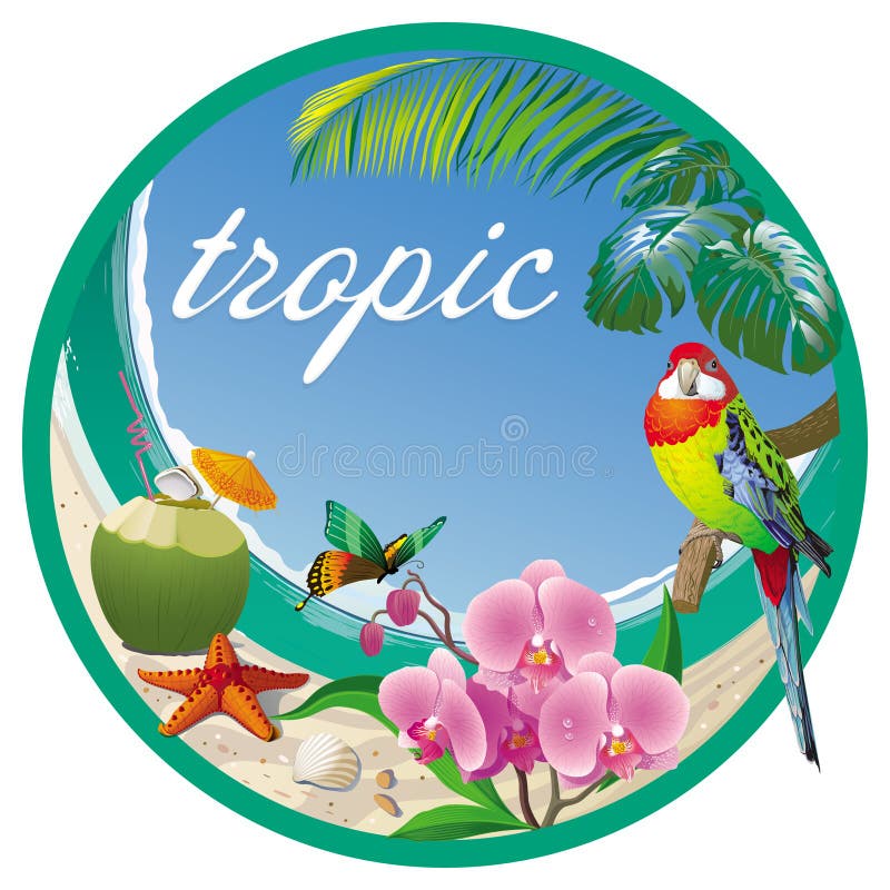 Two Bright Parrot on a Blossoming Branch Stock Illustration ...