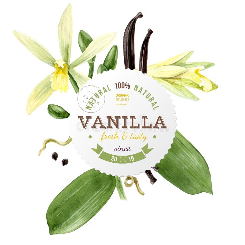 Vanilla Stock Illustrations – 119,398 Vanilla Stock Illustrations ...