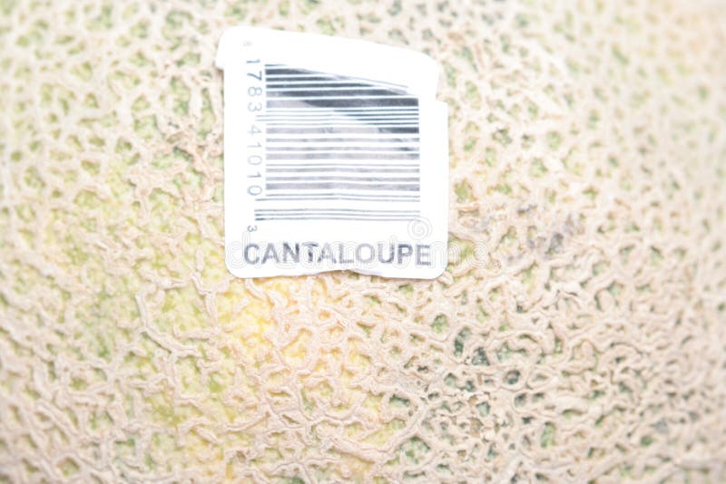 Labeled melon stock photo. Image of nutrition, color - 51670824