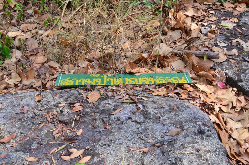 Label. stock image. Image of labels, rock, leaves, cloud - 100518233