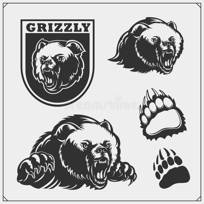 Bear emblems stock vector. Illustration of spruce, vintage - 52008461