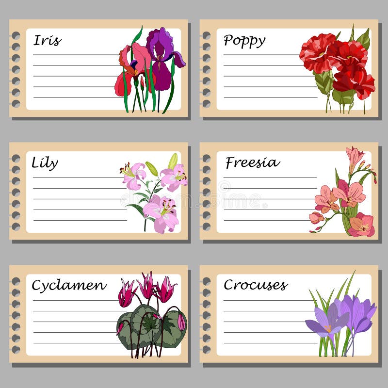 1800 Labels Flowers, Set, Labels for Sticking, with the Image of ...