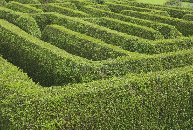 Laberinto imagen de archivo. Imagen de laberinto, rompecabezas - 27197313