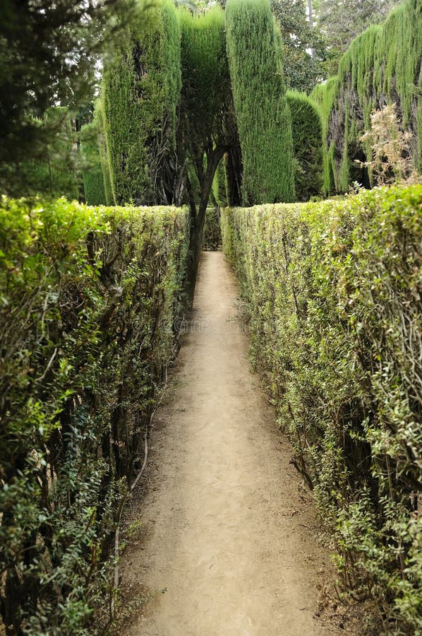 Laberinto Dentro Del Alcazar Real, Sevilla Foto de archivo - Imagen de ...