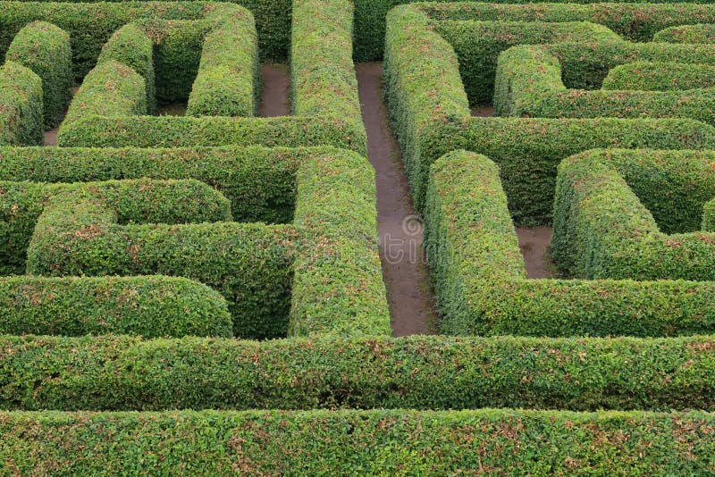 Percorso Labirinto E Della Pietra Verdi Del Giardino Con Erba Che ...