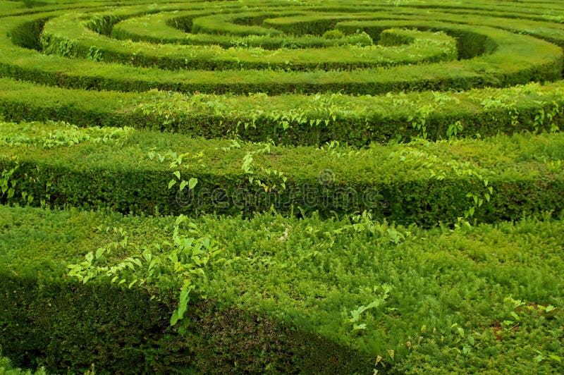 Labirynt widok lotniczego zdjęcie stock. Obraz złożonej z głowienie ...