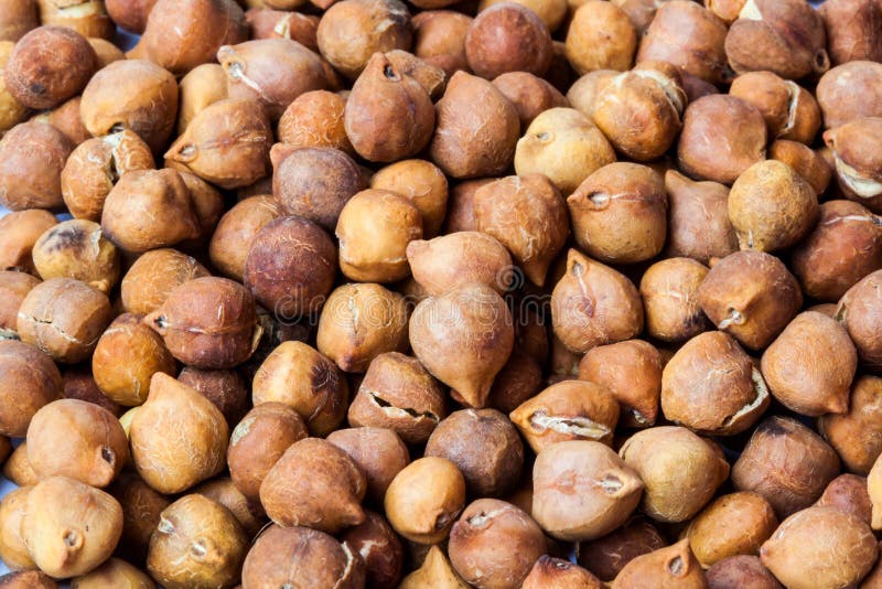 Group of lablab vegetable stock image. Image of group - 113254347