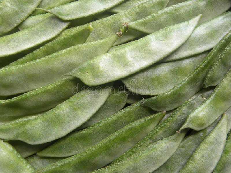 Sem Bean Stock Photos - Free & Royalty-Free Stock Photos from Dreamstime