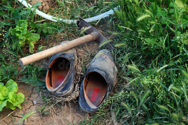 Labor, Labor and Wages of Working People Stock Image - Image of alms ...