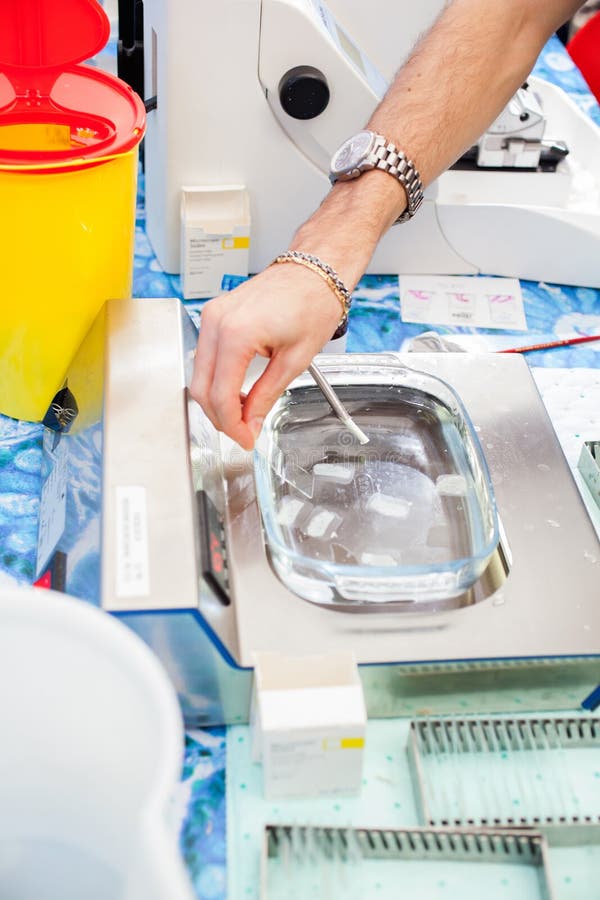 Outils De Produit Chimique De Laboratoire Photo stock - Image du ...