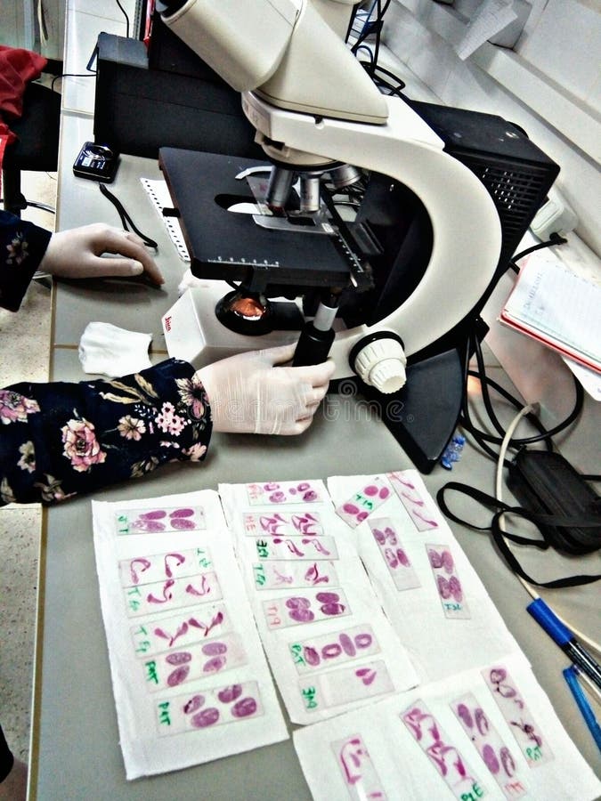 Laboratoire editorial stock photo. Image of love, microscope - 114872278