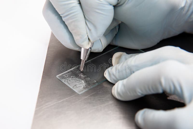 Laboratorian Labelling a Microscope Slide Using a Diamond Tip Pencil ...