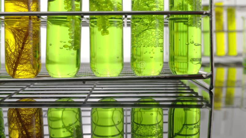 Laboratorio De La Industria De Biocombustibles De Los Combustibles De ... Laboratorio De La Industria De Biocombustibles De Los Combustibles De ...