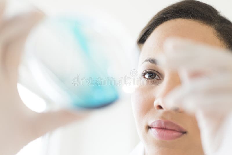 Laboratorio Femminile Del Dottore Examining Solution in Fotografia ...