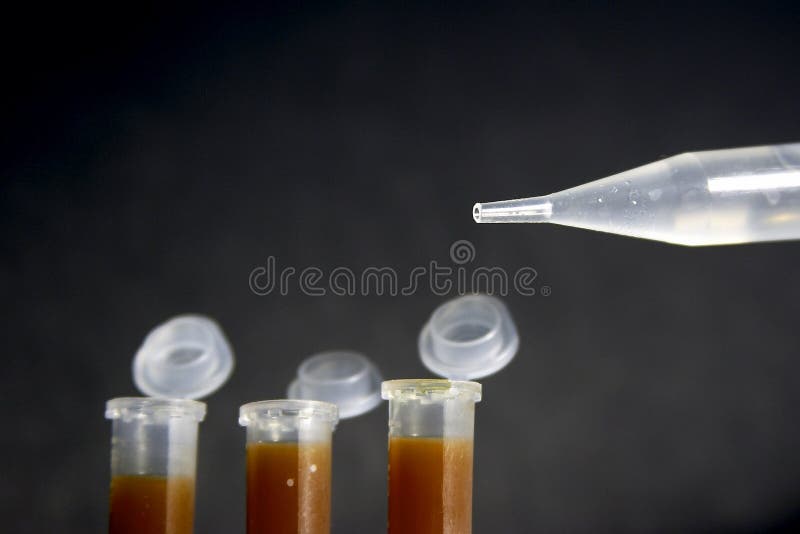 Detail of Plastic Sampling Beaker on Rod with Sample of Water Stock ...