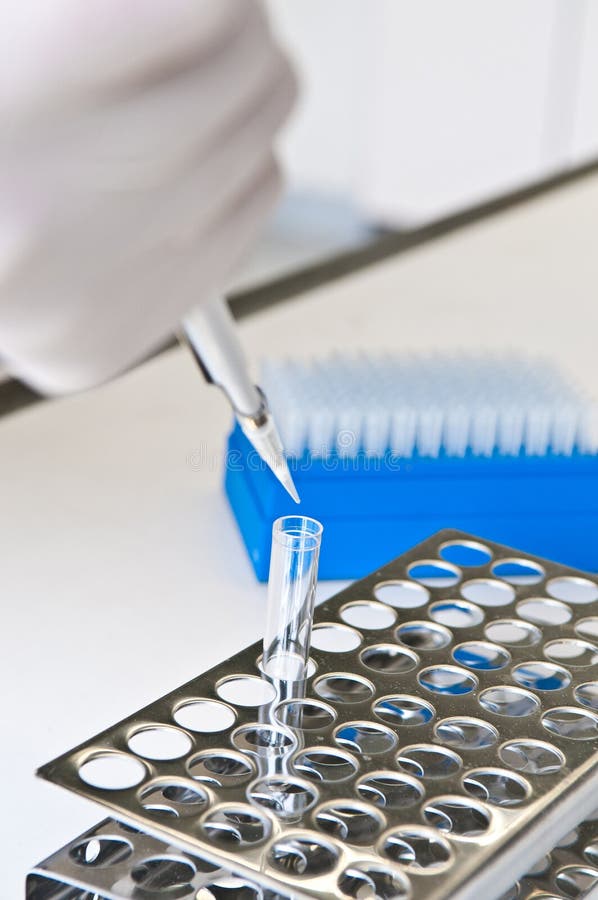 Biotech lab hands stock photo. Image of instrument, clinical - 4449362