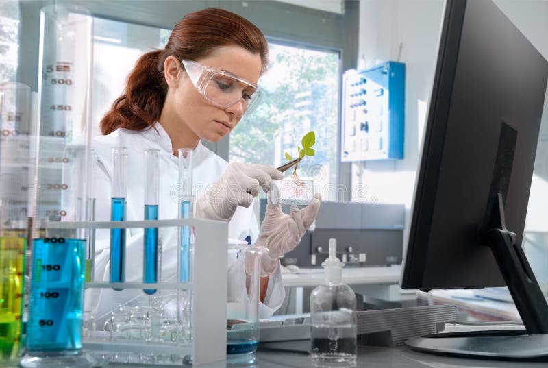 Laboratory stock image. Image of healthcare, chemist - 10474101