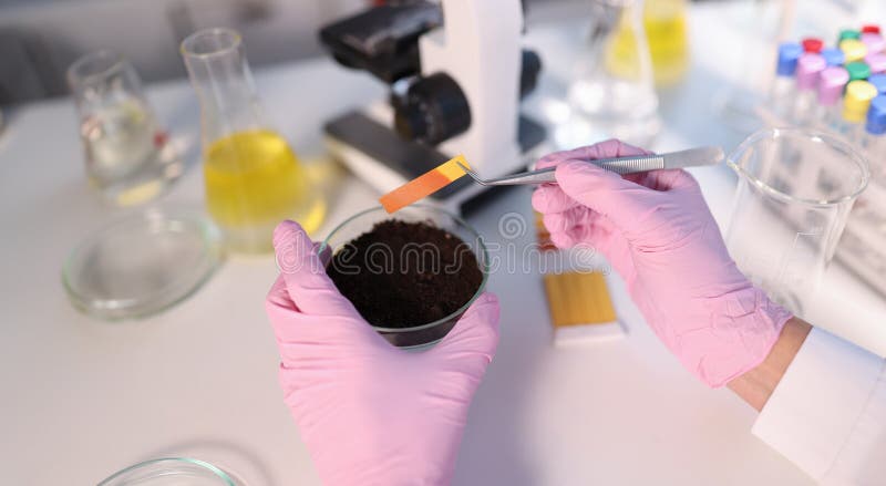 Laboratory Analysis of Soil. Scientist Measures PH of Soil Sample with ...