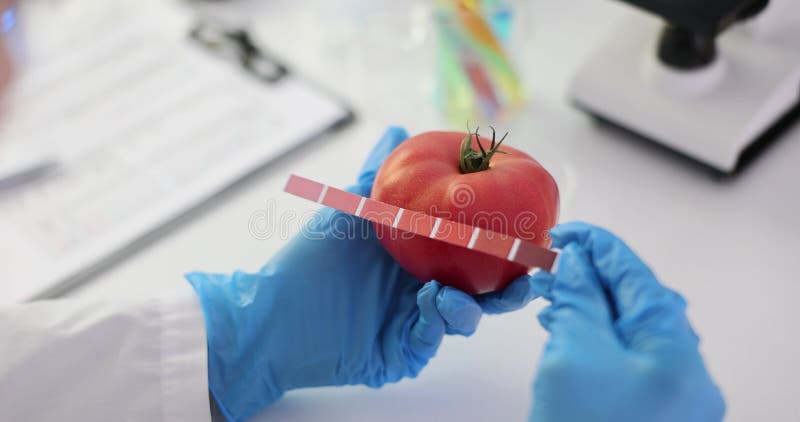 Laboratory Analysis of Tomato Color Using a Color Chart Stock Footage ...