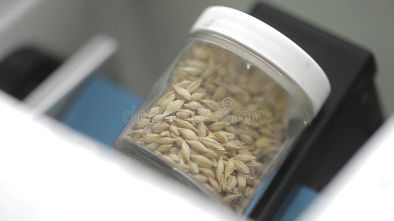 A Laboratory Apparatus for Verification of Wheat Stock Video - Video of ...