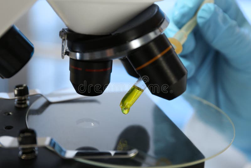 Laboratory Assistant Doing Analysis with Urine Sample and Microscope ...