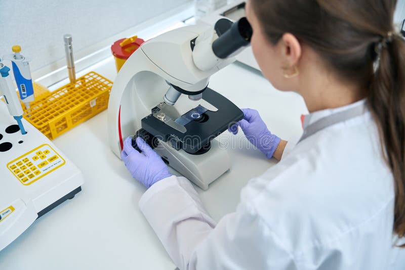 Laboratory Assistant Examines Sample Biomaterial for DNA Test Under ...